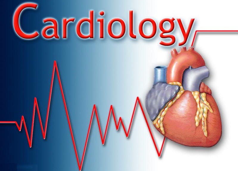 Department of Cardiology